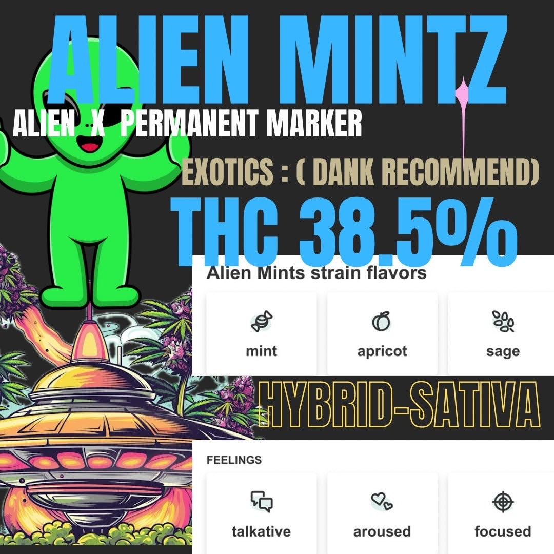Premium exo- ALIEN MINTS (SATIVA) THC38% – dankclubbkk